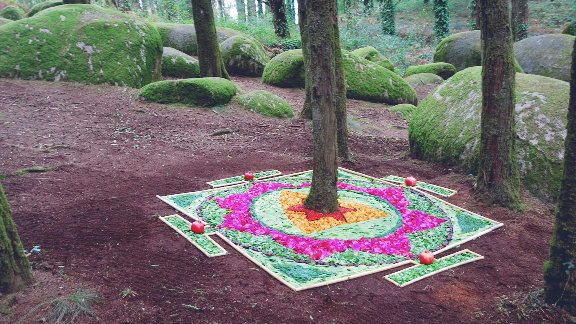 VAWAA | Learn Mandala Art with Ines in Portugal.