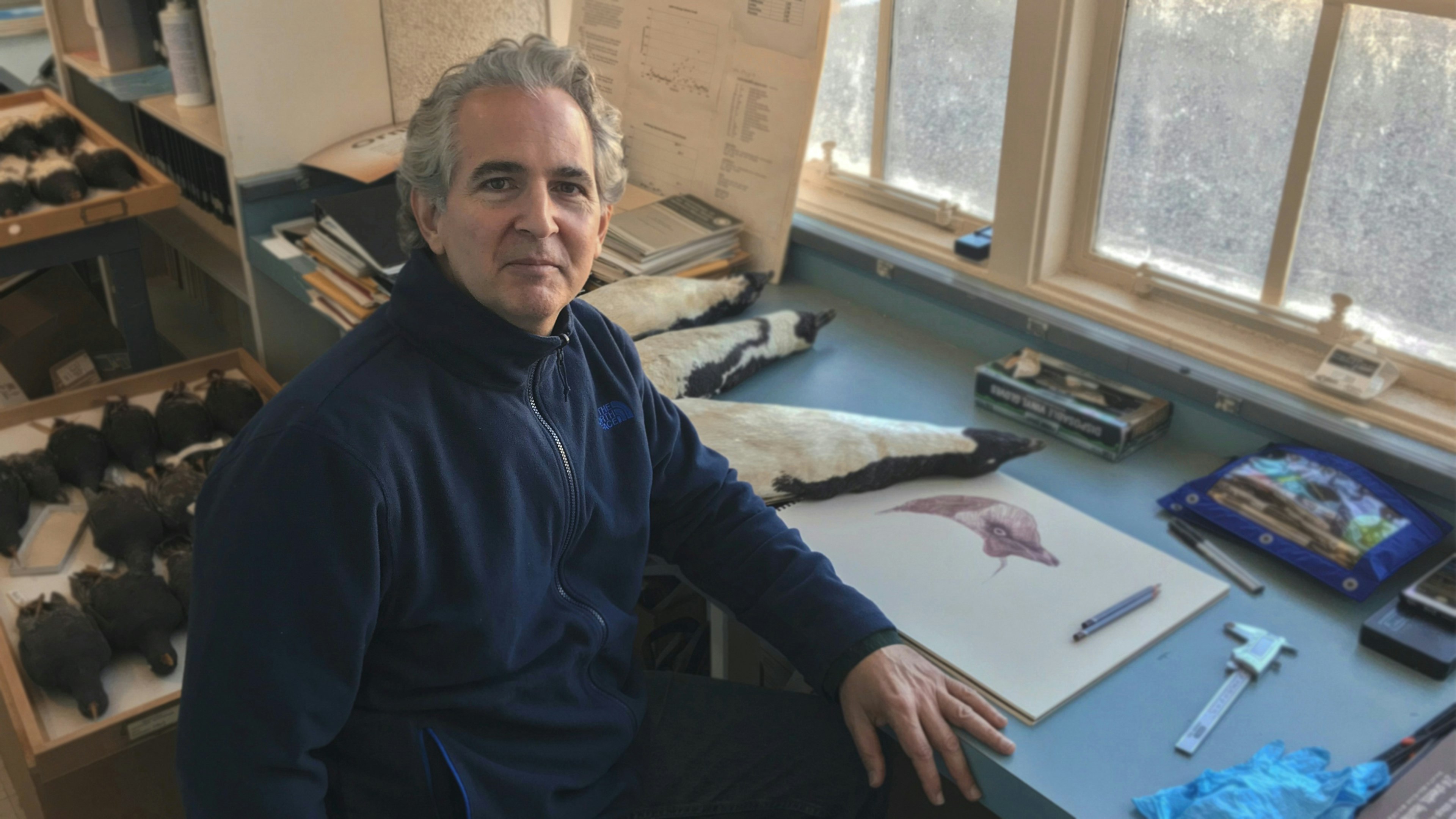 Learn Wildlife Sketching and Printmaking with Neil in United States | VAWAA