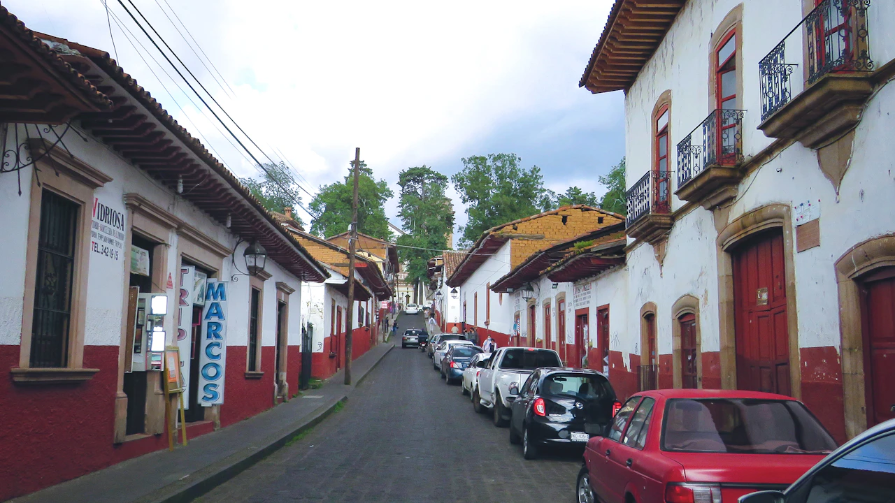 Learn Linocut Printmaking with Artemio in Mexico | VAWAA